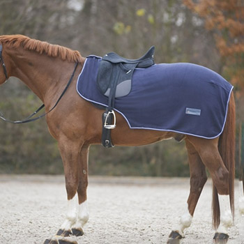 Bederní Deka pro Koně🐎 | EquiZoo