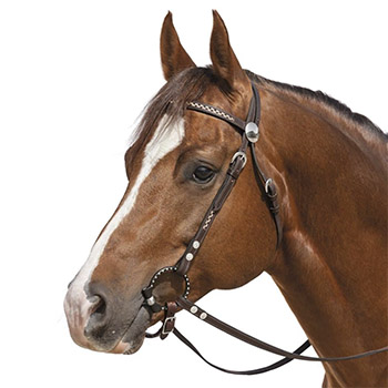 Westernová Uzdečka🐎 | EquiZoo